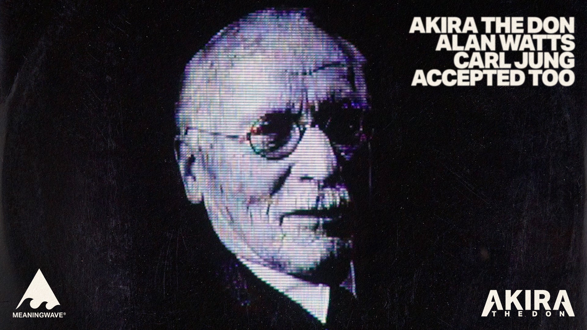 Alan Watts x Carl Jung x Akira The Don - ACCEPTED TOO | Music Video ...
